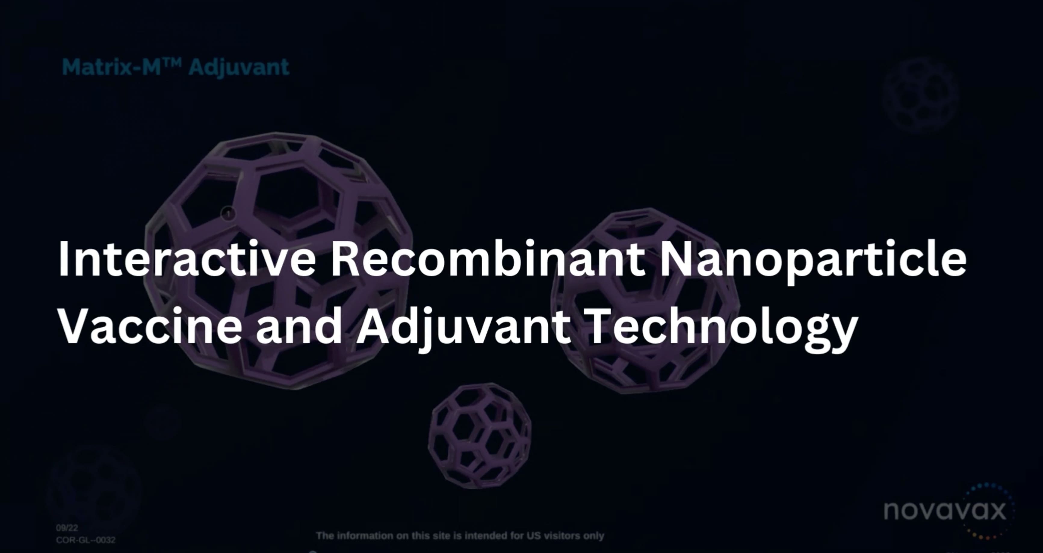Interactive Recombinant Nanoparticle Vaccine and Adjuvant Technology